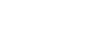 Slow Forest