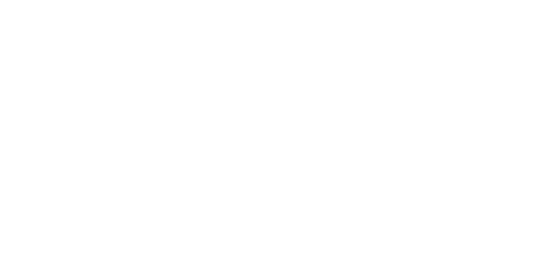 Slow Forest