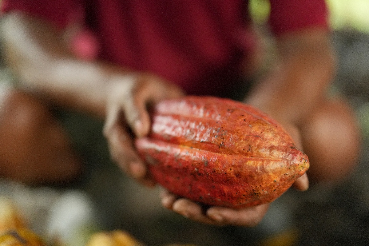 How Slow Chocolate is made
